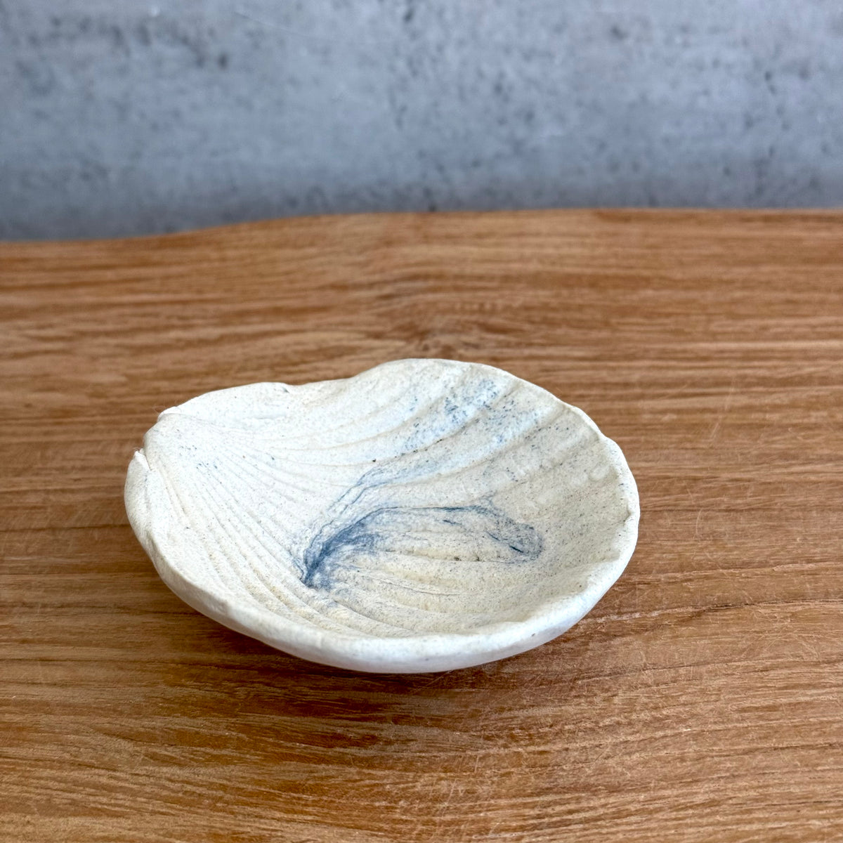 Shell Dish #01 - Small – THE DEA STORE