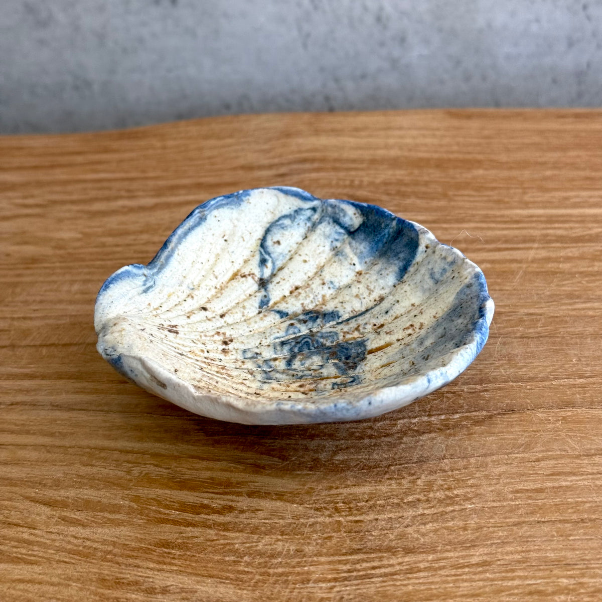 Shell Dish #03- Small – THE DEA STORE