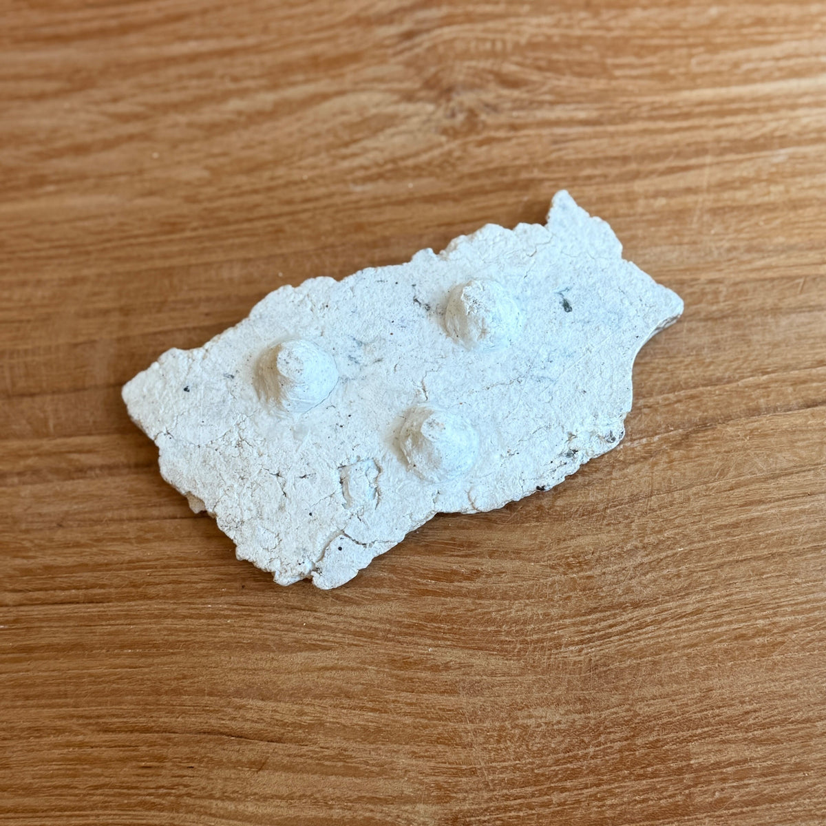 Torn Plate #03 - Wild Porcelain - Small – THE DEA STORE